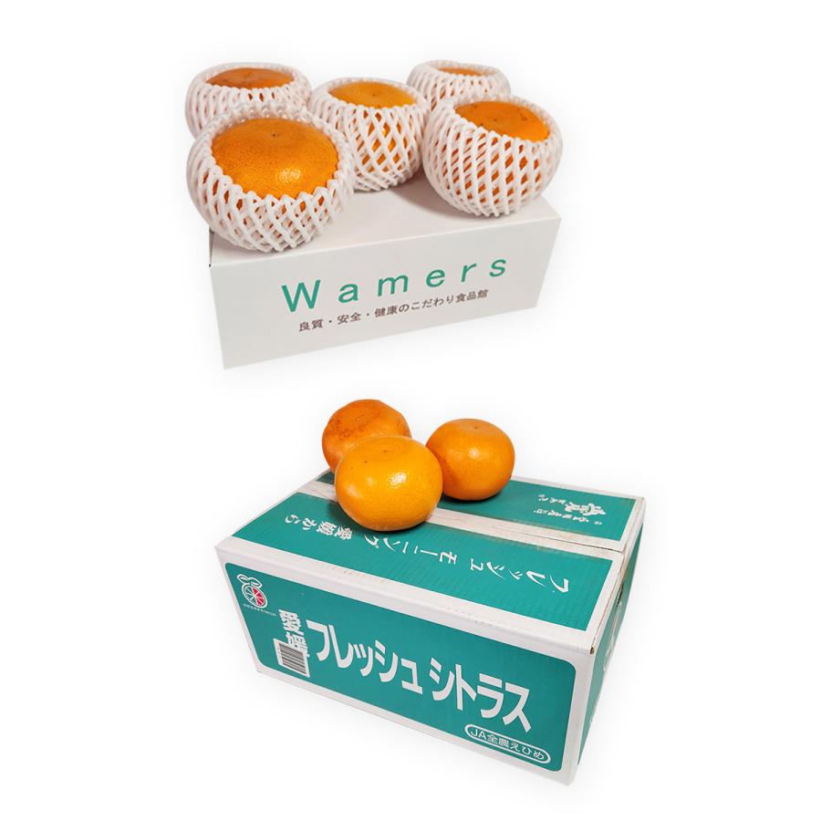 愛媛産 せとか 約2kg 4〜6玉 2L〜4Lサイズ 大玉中心 秀品 フルーツ 果物 くだもの 果実 青果 食品 箱買い 蜜柑 温州みかん 柑橘類 かんきつ デザート 冬ギフト : 産地から ...