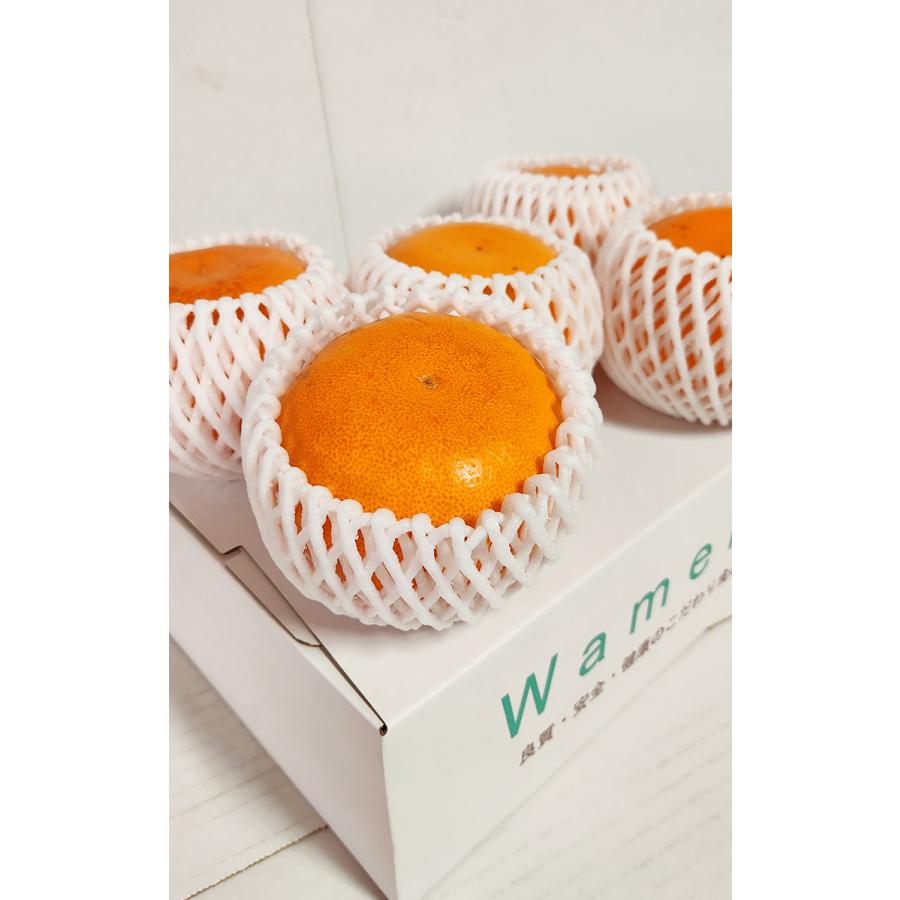 愛媛産 せとか 約2kg 4〜6玉 2L〜4Lサイズ 大玉中心 秀品 フルーツ 果物 くだもの 果実 青果 食品 箱買い 蜜柑 温州みかん 柑橘類 かんきつ デザート 冬ギフト : 産地から ...