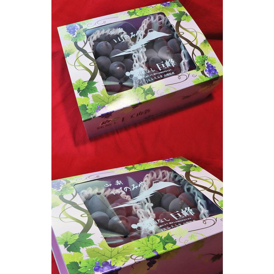 巨峰 化粧箱 2房入り 約700g 一宮種無しぶどう 山梨県産 贈答品 JAふえふき共撰 贈答用に最適な食べきりサイズ！ 全国屈指の産地で育てた種無し葡萄 : 産地から玄関へ - 通販 ...