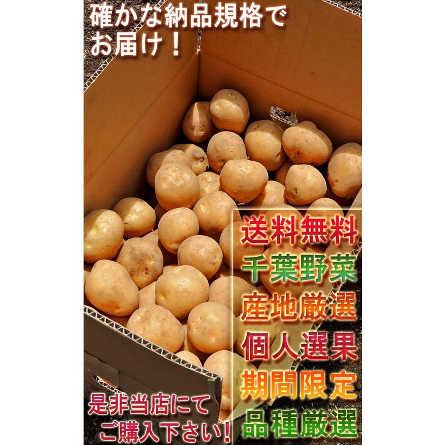 じゃがいも 男爵・とうや中心 約10kg M〜3Lサイズ 千葉・茨城県産 大容量 様々なお料理に使えるお得な国産野菜！ : 産地から玄関へ - 通販 - Yahoo!ショッピング