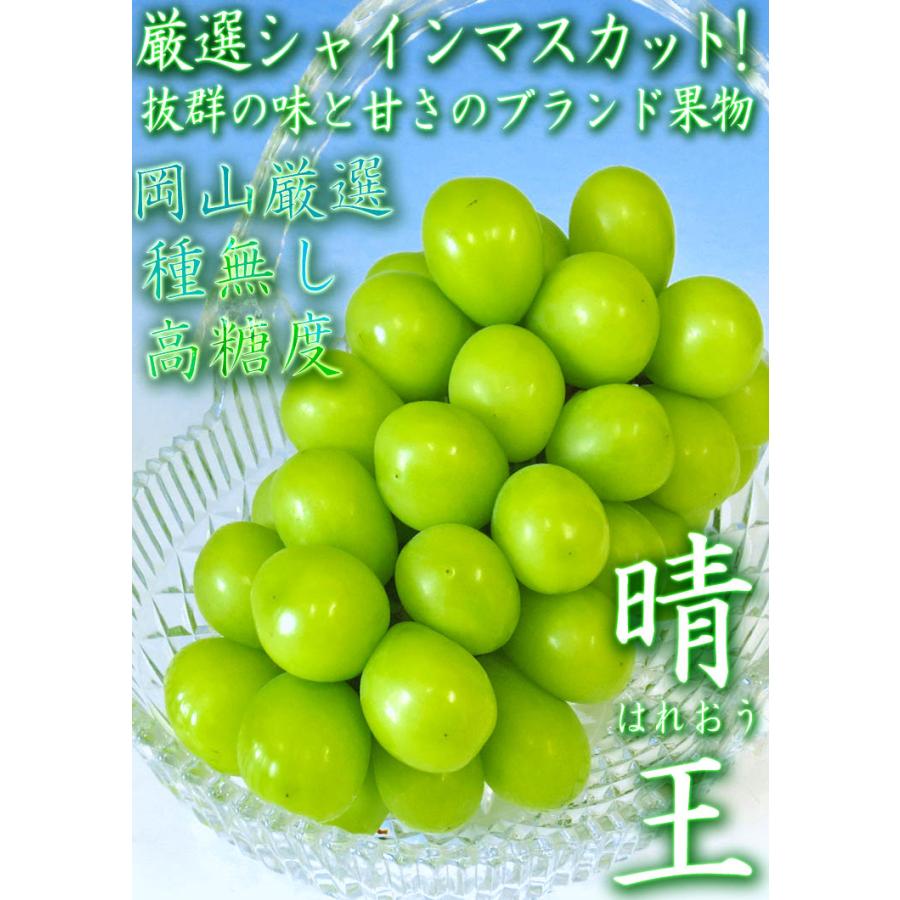 晴王 約1.2〜1.5kg 2〜3房 葡萄 はれおう 厳選シャインマスカット 種無し白ぶどう 岡山県産 贈答規格 皮ごと食べる濃厚な甘さの特産品フルーツ！ : 産地から玄関へ - 通販 ...