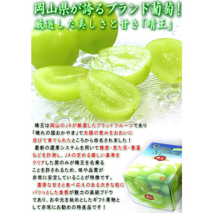 晴王 約1.2〜1.5kg 2〜3房 葡萄 はれおう 厳選シャインマスカット 種無し白ぶどう 岡山県産 贈答規格 皮ごと食べる濃厚な甘さの特産品フルーツ！ : 産地から玄関へ - 通販 ...
