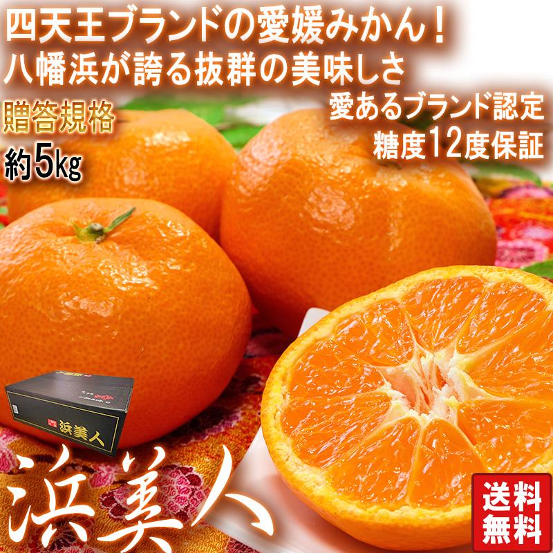 浜美人 八幡浜みかん 約5kg S〜2Lサイズ 愛媛県産 贈答規格 JAにしうわ 糖度12度保証のブランド蜜柑！八幡浜共撰の高級フルーツ はまびじん : 産地から玄関へ - 通販 ...