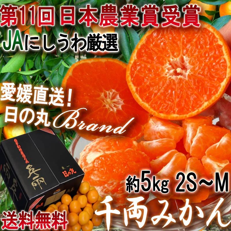 産地直送 日の丸千両みかん 約5kg 2S〜Mサイズ 愛媛県産 贈答規格 小玉限定 JAにしうわ 専用黒箱入りブランド蜜柑！高い評価を受ける県内屈指のギフトフルーツ : 8498276 ...