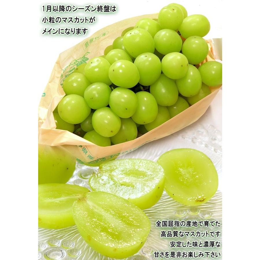温室シャインマスカット 種無し葡萄 2房入り 計約600〜700g 山梨県産中心 贈答規格 JA共撰品 皮ごと食べる高級ぶどう！濃厚な甘さのギフトフルーツ : 産地から玄関へ - 通販 ...
