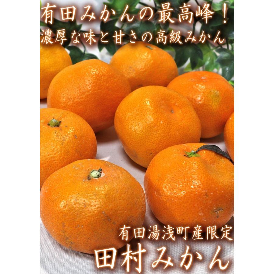 田村みかん 厳選有田ミカン 約10kg 3Lサイズ 大玉 和歌山県産 贈答規格 湯浅町産限定 甘み豊かなブランド蜜柑！最高峰の産地で育てた抜群の味 : 9909211 : 産地から玄関へ ...