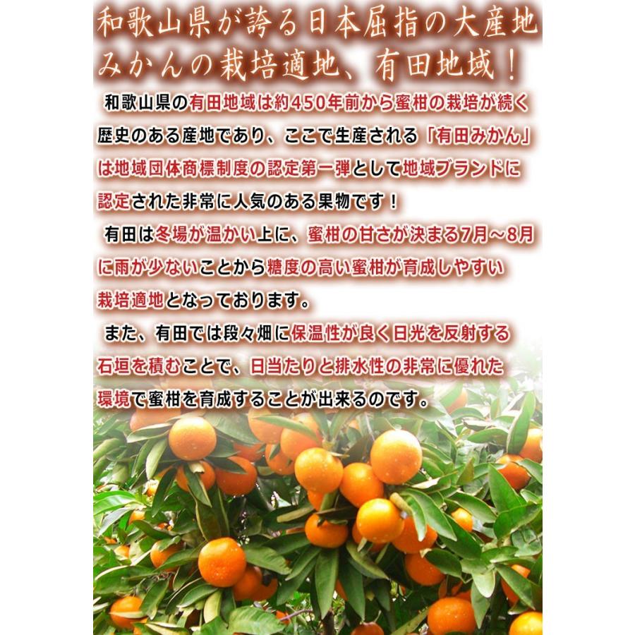 田村みかん 厳選有田ミカン 約10kg 3Lサイズ 大玉 和歌山県産 贈答規格 湯浅町産限定 甘み豊かなブランド蜜柑！最高峰の産地で育てた抜群の味 : 9909211 : 産地から玄関へ ...
