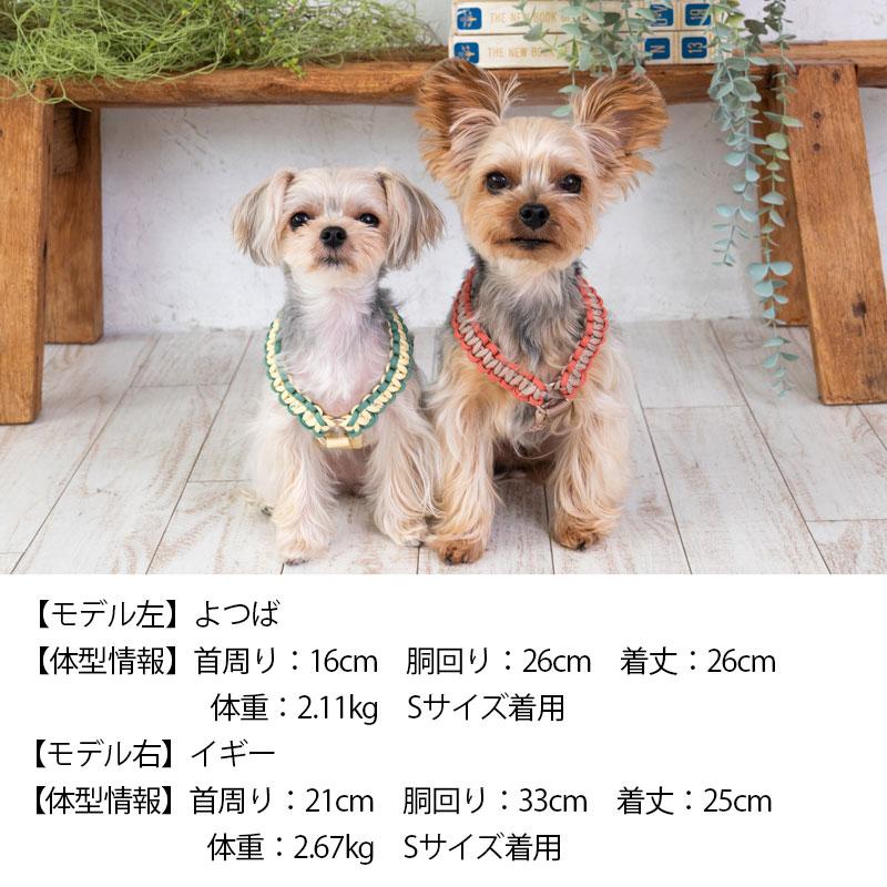 バイカラーコードハーネス S Solgra-ソルグラ- 犬用 ハーネス トイプードル チワワ ポメラニアン SO22AW :so169197-1:Wan-Voyage ワンボヤージュ - 通販 ...