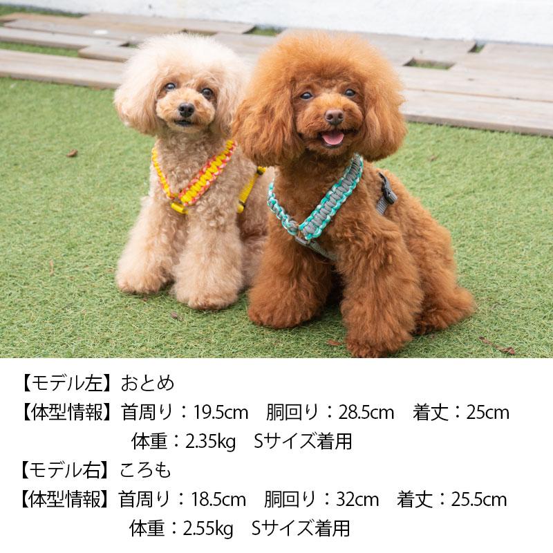 バイカラーコードハーネス S Solgra-ソルグラ- 犬用 ハーネス トイプードル チワワ ポメラニアン SO22AW :so169197-1:Wan-Voyage ワンボヤージュ - 通販 ...