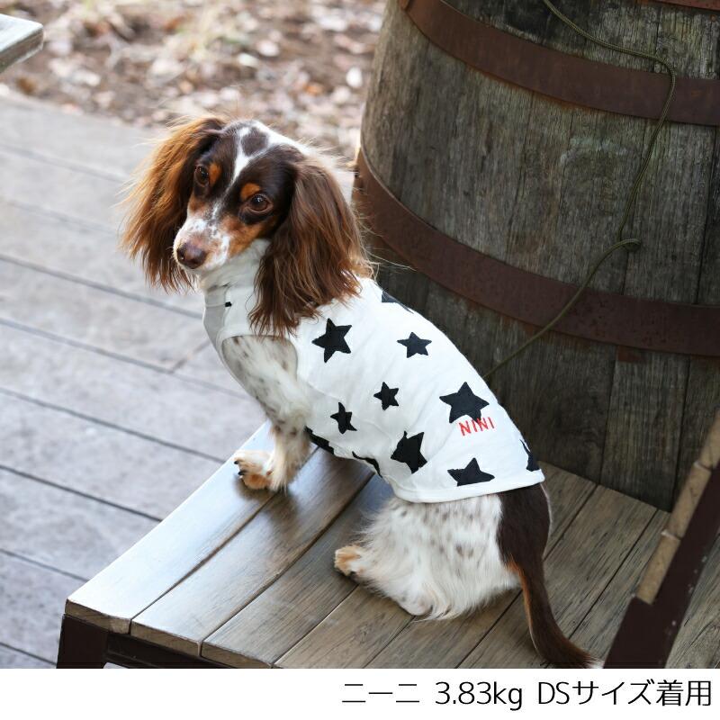 刺繍お名前入れサービス WAN VOYAGE -ワンボヤージュ- 犬服 ドッグウェア ペット服 名入れ ししゅう : wv000000-1 : Wan-Voyage ワンボヤージュ - 通販 ...