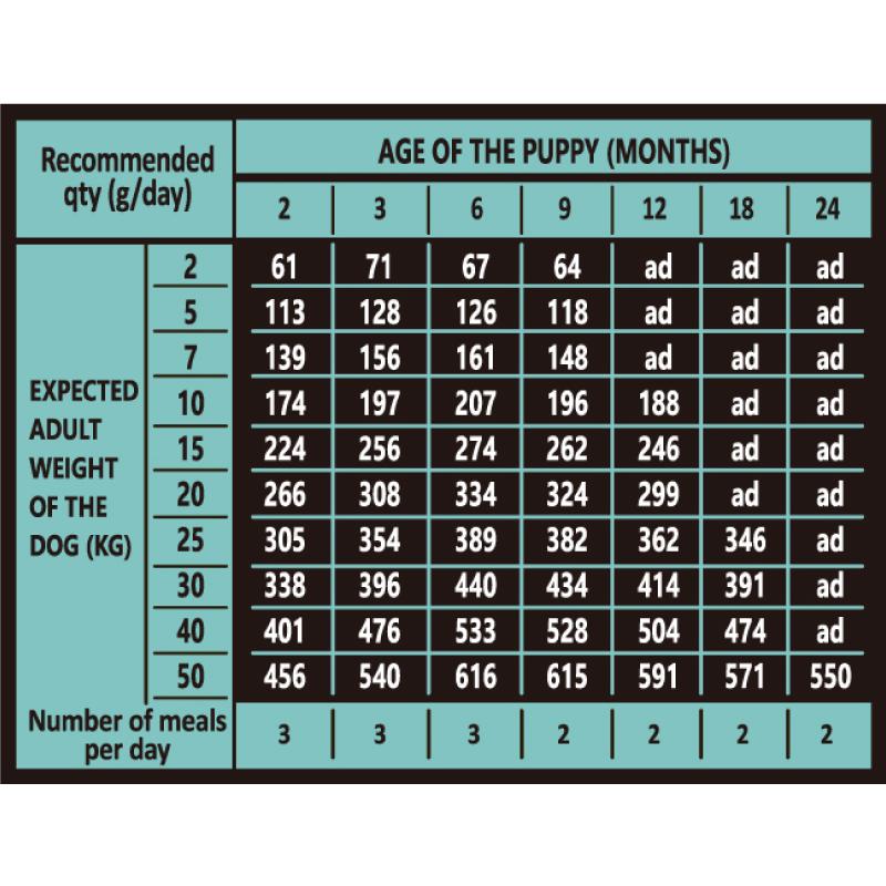 アンブロシア DOG HMN サーディン＆ヘリング 100g ドッグフード ドライフード 犬のごはん 地中海食 魚肉 グレインフリー シングルプロテイン : 犬猫用無添加フードやサプリの帝塚山 ...