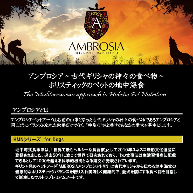 アンブロシア DOG HMN サーディン＆ツナ 100g ドッグフード ドライフード 犬のごはん 地中海食 魚肉 グレインフリー シングルプロテイン : 犬猫用無添加フードやサプリの帝塚山 ...