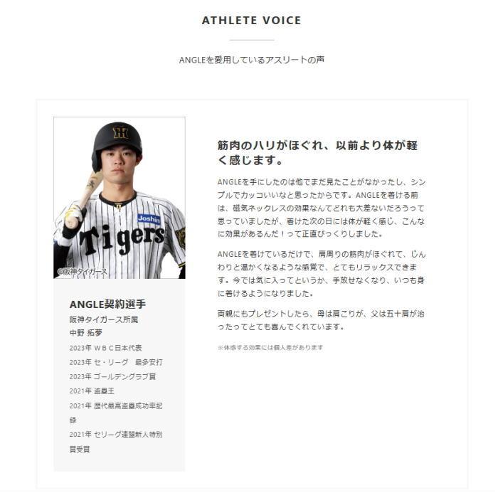 【正規販売店】ANGLE 正規品 e.MODEL 01 NECKLACE アングル e.モデル01 ネックレス 男女兼用 磁気ネックレス AE01N 肩こり・首・背中・血行改善に効く 新品 ...