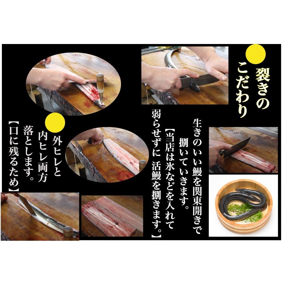 うなぎ 国産 2尾 うなぎ蒲焼き 送料無料 骨抜き うなぎ蒲焼 セット カット 取り寄せ 御祝 70g前後×4 280g半身ずつ 冷凍 賞味期限冷凍10日 : 天然地魚・王道和食板前職人 ...