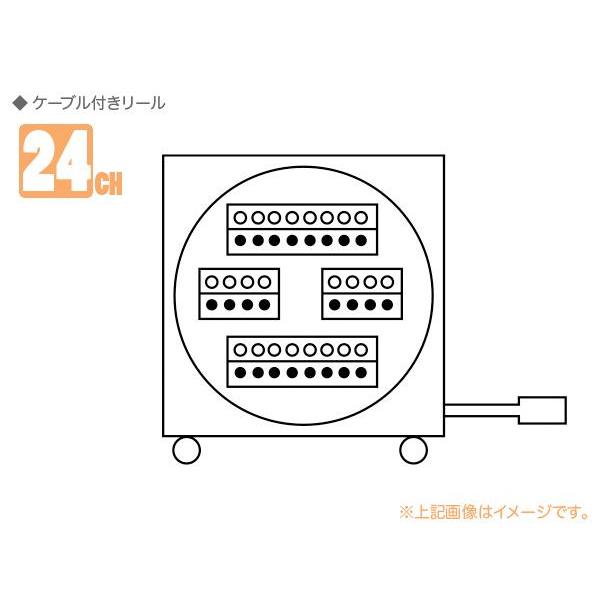 CANARE(カナレ) 24R30-E3(F77) 24ch ケーブル付きリール ・30m D/MS3106B32A-10S L-4E3 ...