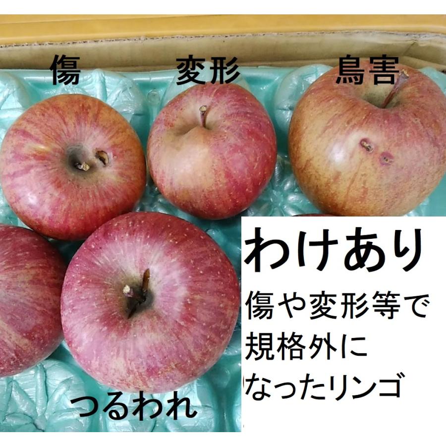 わけありリンゴ箱込5kg【特別栽培・JGAP認証】 : 渡辺果樹園 - 通販 - Yahoo!ショッピング
