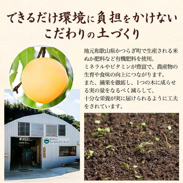 黄貴妃 秀品 約2kg 6〜8玉 和歌山県産 黄桃 希少 桃 もも ピーチ ギフト プレゼント お取り寄せ 贈答用 化粧箱入り :v5-009:スマホDEグルメ ウォッチミー - 通販 ...