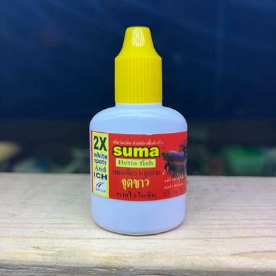 Suma betta fish 2x : ウォーターフラップヤフー店 - 通販 - Yahoo!ショッピング