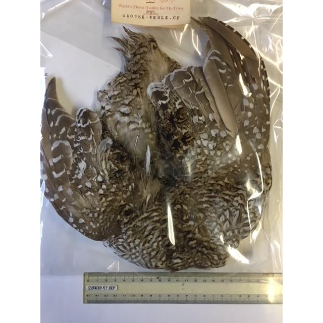 Grouse Complete Skin/グラウス コンプリートスキン : ウォーターハウス - 通販 - Yahoo!ショッピング