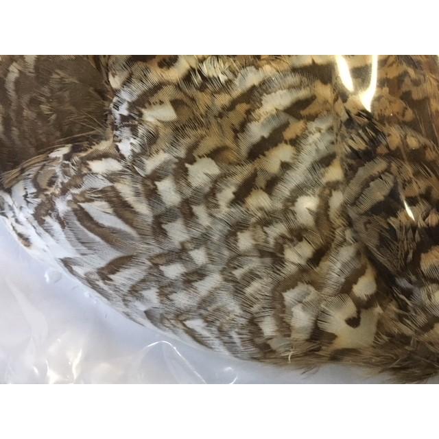 Grouse Complete Skin/グラウス コンプリートスキン : ウォーターハウス - 通販 - Yahoo!ショッピング