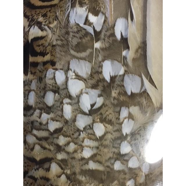 Grouse Complete Skin/グラウス コンプリートスキン : ウォーターハウス - 通販 - Yahoo!ショッピング