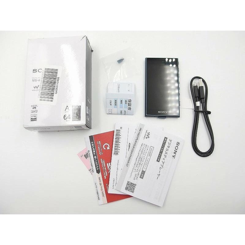 ソニー SONY ウォークマン ポータブルオーディオプレーヤー 64GB ブルー NW-A107 : ワットマン Yahoo!ショッピング店 - 通販 - Yahoo!ショッピング