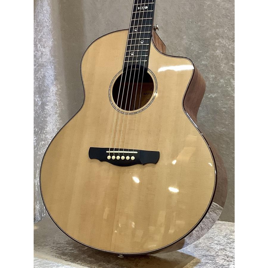 Natasha CAT【かわいい猫ちゃんデザイン!】【カッタウェイボディ】【池袋店アコースティック館在庫品】【送料無料】 : クロサワ楽器65 ...
