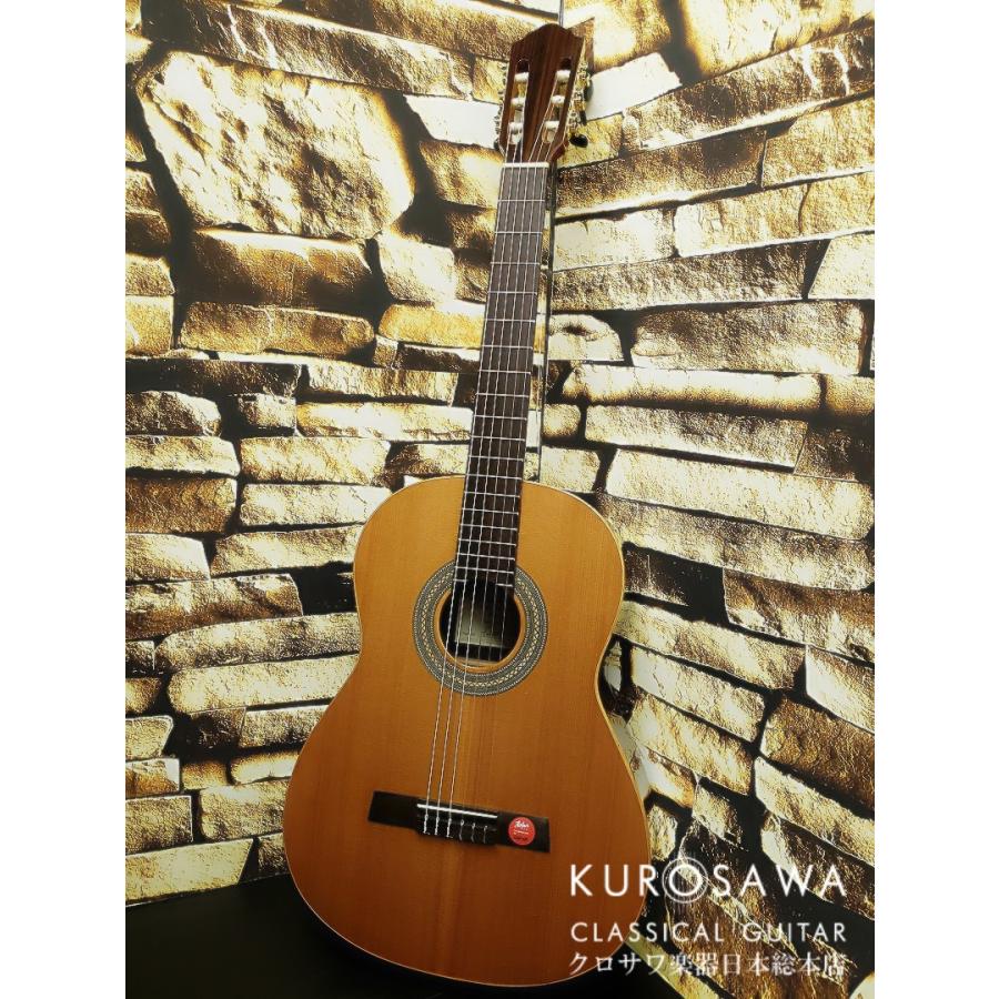 Karl Hofner カール・ヘフナー Classic Series HZ27 杉単板・ローズ 【日本総本店2F 在庫品】 : クロサワ楽器 ...