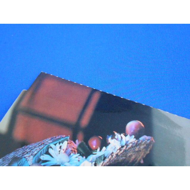 CD/椎名林檎 しいなりんご/真夜中は純潔 まよなかはじゅんけつ CD/椎名林檎 しいなりんご/真夜中は純潔 まよなかはじゅんけつ