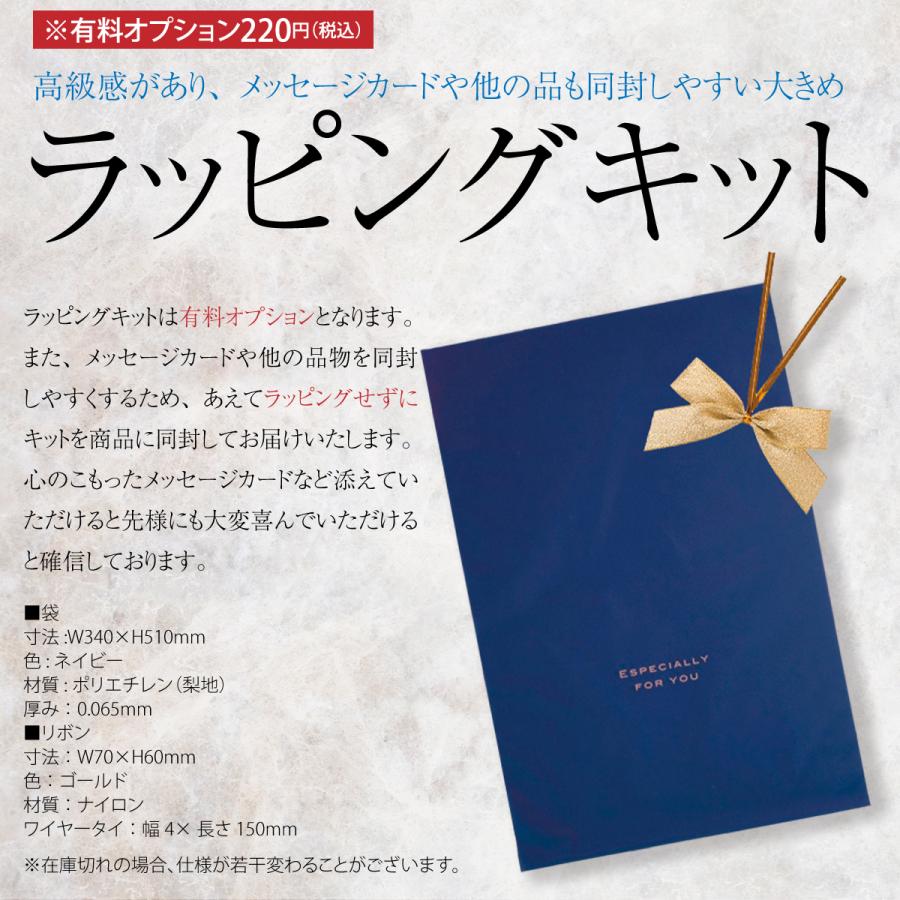 Printstar（プリントスター） パーカー チャック メンズ レディース ファスナー 厚手 無地 綿 ジップ 裏毛 ジッパー フード ...