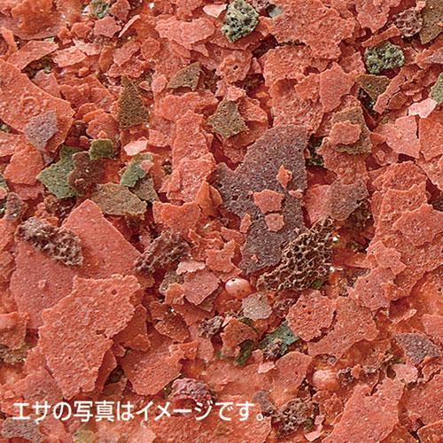 ジェックス GEX ワイルドフレークプロバイオ100g 1743382 : webby shop - 通販 - Yahoo!ショッピング