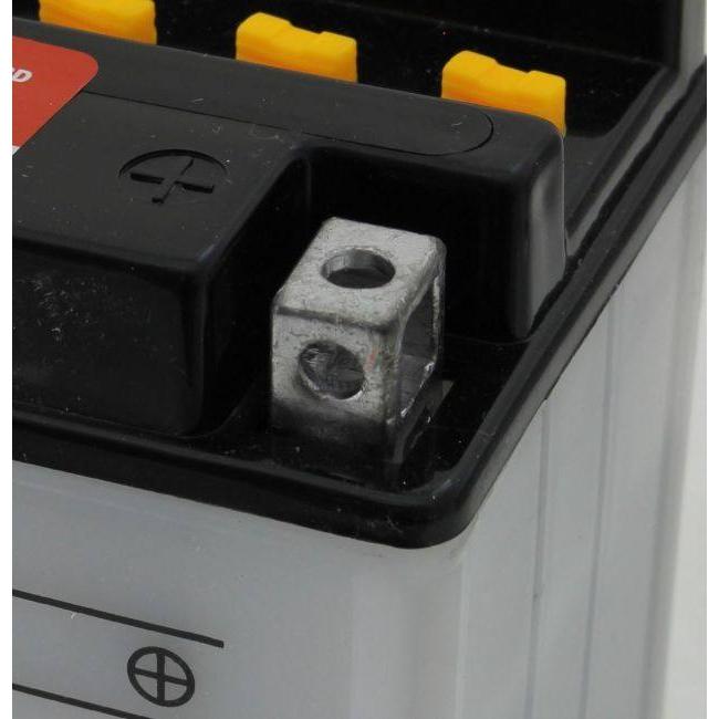 Pro Select Battery プロセレクトバッテリー オートバイ用12Vバッテリー 鉛系バッテリー バッテリー関連 : ウェビック1号店 - 通販 - Yahoo!ショッピング