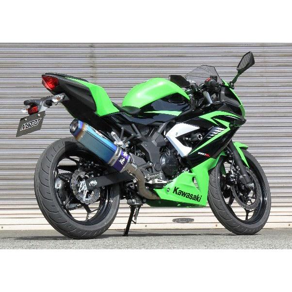 BEET ビート NASSERT-R Evolution ST250F用 ステンレスレーシングマフラー サイレンサー素材：クリアチタン ...