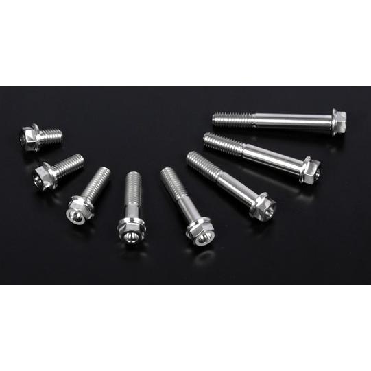 ZETA ジータ チタン フランジボルト スタンダード サイズ：M6 P=1.0／L=20 汎用ボルト・ネジ : ウェビック1号店 - 通販 - Yahoo!ショッピング