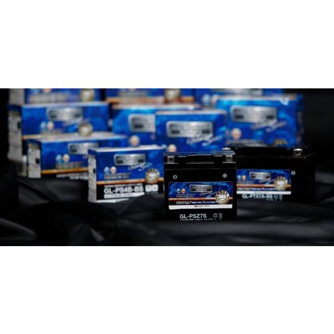 Pro Select Battery プロセレクトバッテリー ナノ・ジェルバッテリー【GL-PTX4L-BS】 鉛系バッテリー バッテリー関連 ...