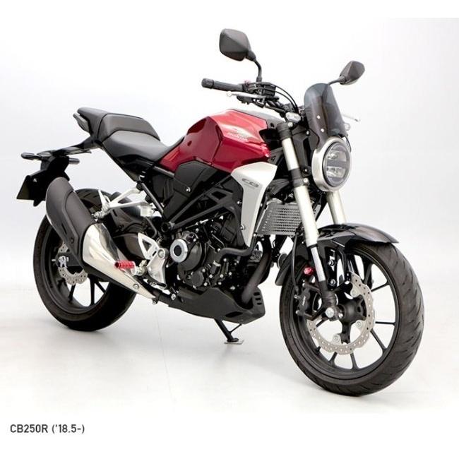 ENDURANCE ENDURANCE:エンデュランス メーターバイザーセット＋取り付けキット カラー：スモーク CB125R CB125R CB250R :24105236:ウェビック1号店 ...