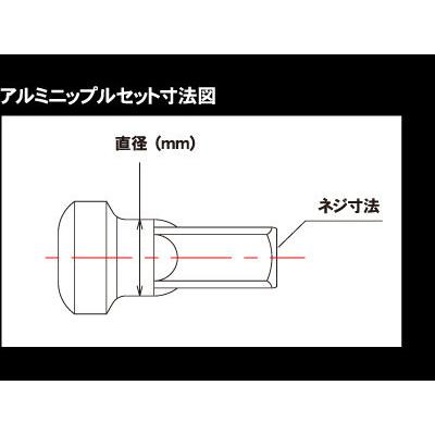 Z-WHEEL ズィーウィール ニップルセット サイズ：直径：6.6mm／ネジ寸法：BC3.5 スポーク・ニップル ホイール関連 足回り : ウェビック1号店 - 通販 - Yahoo!ショッピング