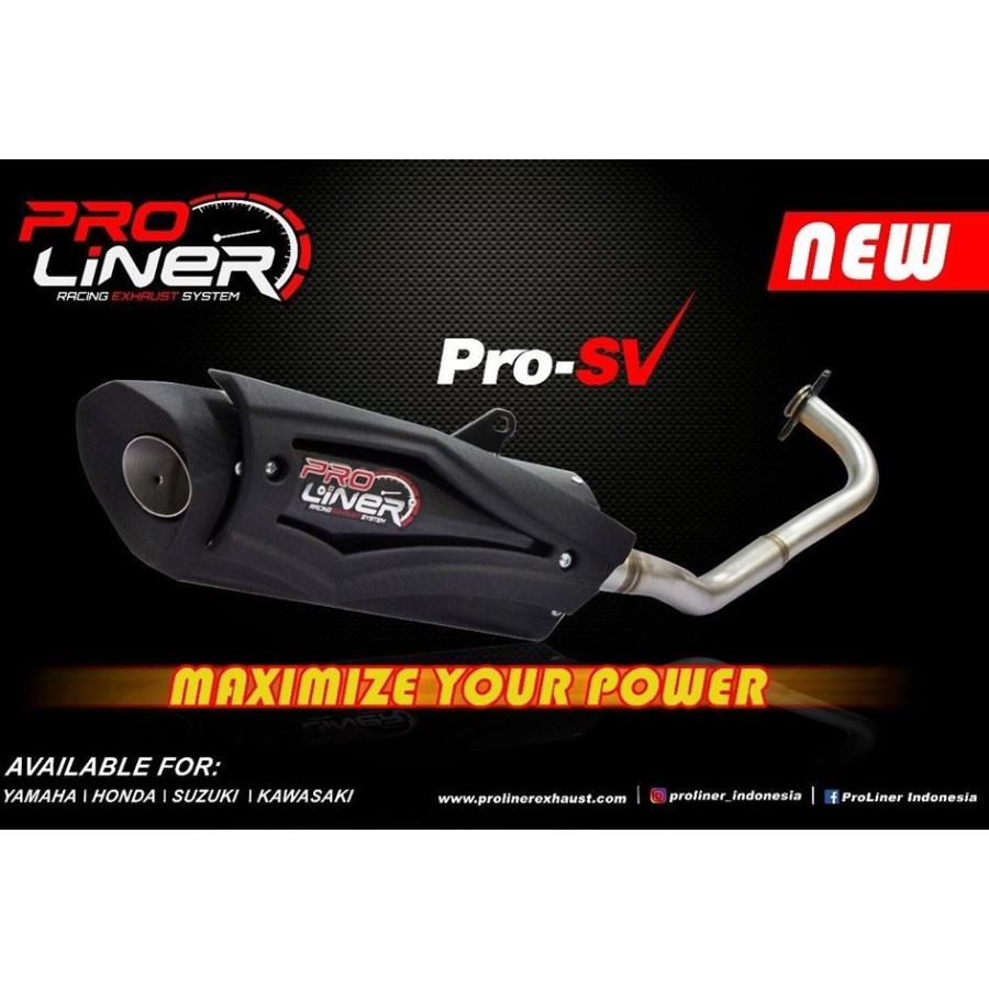 Pro Liner Pro Liner:プロライナー プロ SV フルエキゾーストマフラー CB150R :24279131:ウェビック1号店 ...