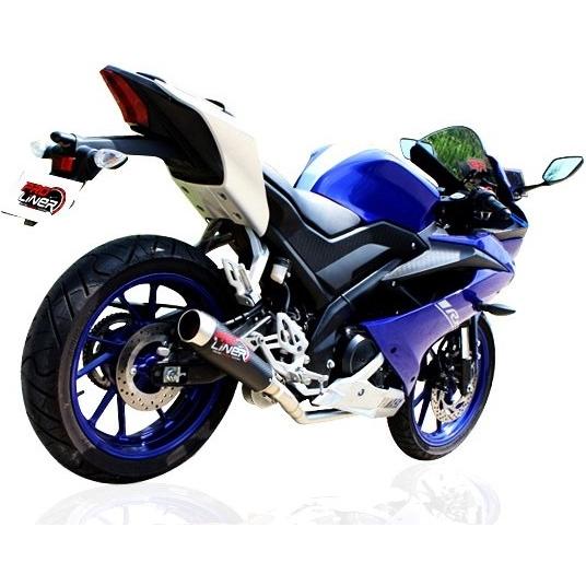 Pro Liner Pro Liner:プロライナー TR2 カーボン フルエキゾーストマフラー タイプ：TR2 カーボン ロング(250mm ...