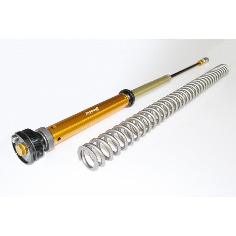 Andreani:アンドレアーニ Andreani Air to Spring Conversion kit MX KTM KTM ...