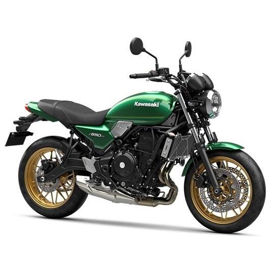 KAWASAKI KAWASAKI:カワサキ ラジエタースクリーン Z650RS Z650RS :25475644:ウェビック1号店 - 通販 - Yahoo!ショッピング