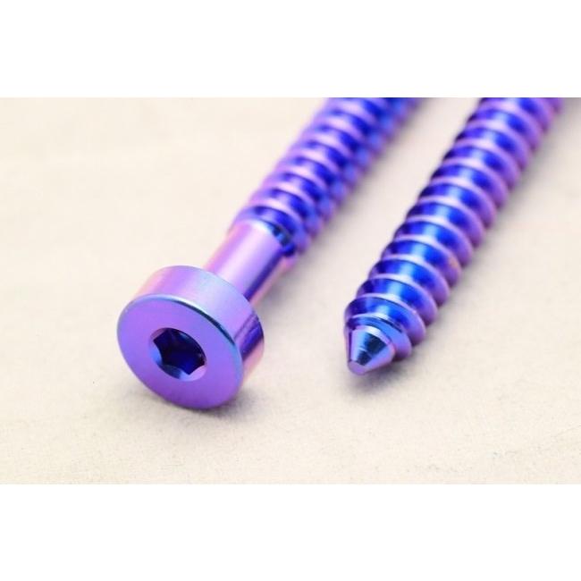 T2 Racing T2 Racing:ティーツーレーシング サーボチタンボルト カラー：ブルー【陽極酸化処理】 NSR250R ...