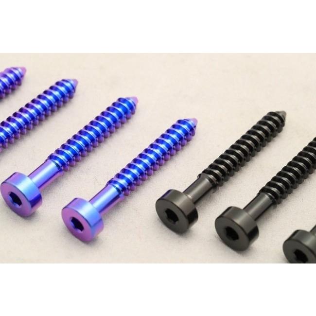 T2 Racing T2 Racing:ティーツーレーシング サーボチタンボルト カラー：ブルー【陽極酸化処理】 NSR250R ...