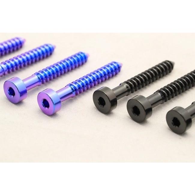 T2 Racing T2 Racing:ティーツーレーシング サーボチタンボルト カラー：ブルー【陽極酸化処理】 NSR250R ...