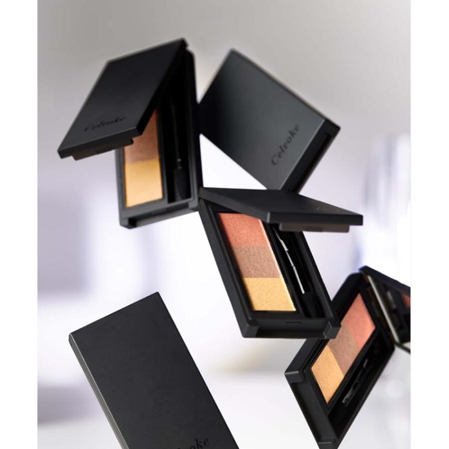 Celvoke セルヴォーク インディケイト アイブロウパウダー EX01 クリムゾンブラウン アイブロウ ブラシ付き★ : ウェブセレクトYahoo!ショップ - 通販 - Yahoo!ショッピング