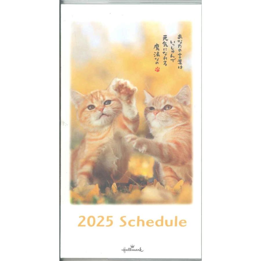 【メール便OK】日本ホールマーク 2025 ダイアリー スリム ほめにゃんこYDD-835-040 : 4961099835040 : webtenshindo - 通販 - Yahoo!ショッピング