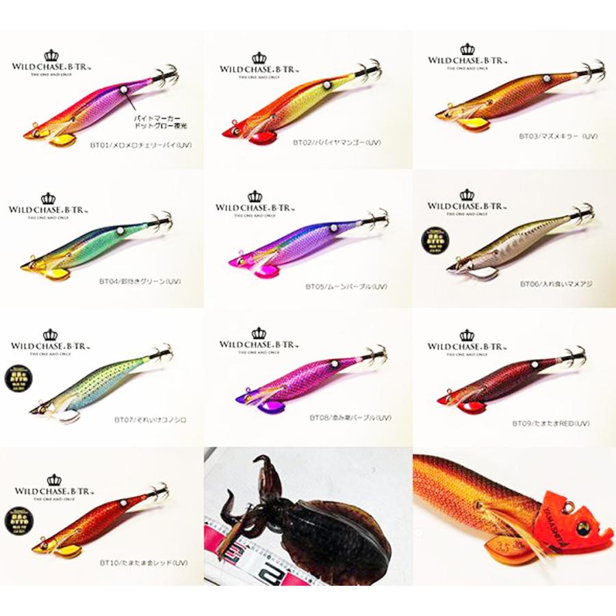 SQUID MANIA スクイッドマニア WILD CHASE/B-TR ワイルドチェイス/B-TR 2.5号 BT19_RG/鬼ハタオレンジ エギ ボートエギング専用 : ウエストコースト ...