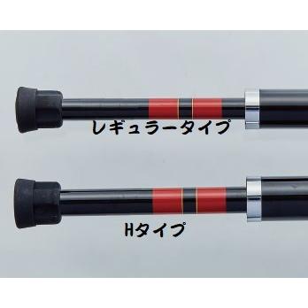 がまかつ がま磯 GT たもの柄 H6.0m : フィッシング いちだ - 通販 - Yahoo!ショッピング