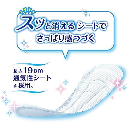 チャームナップ 吸水さらフィ 少量用 羽なし 15cc 19cm 132コ入(尿 吸収ナプキン 尿もれパッド ナプキンサイズ)【軽い尿もれの方】 : White Wings2 - 通販 ...
