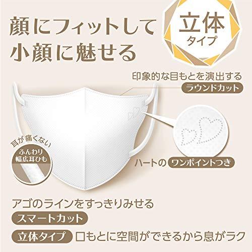 白元アース ビースタイル 立体タイプ ふつうサイズ プレミアム 白元アース ビースタイル 立体タイプ ふつうサイズ プレミアム